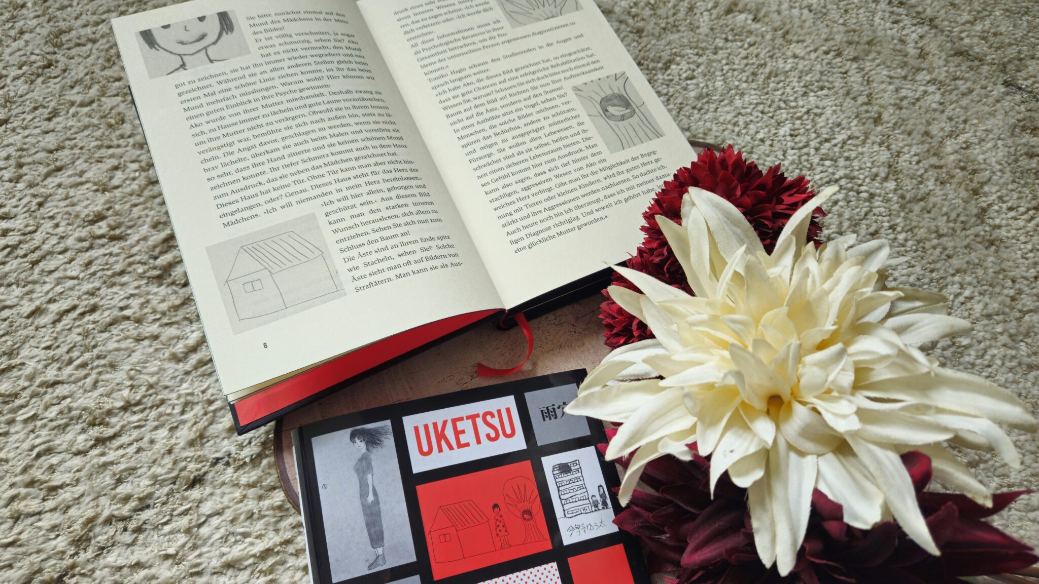 Seltsame Bilder - Uketsu - The Anna Diaries